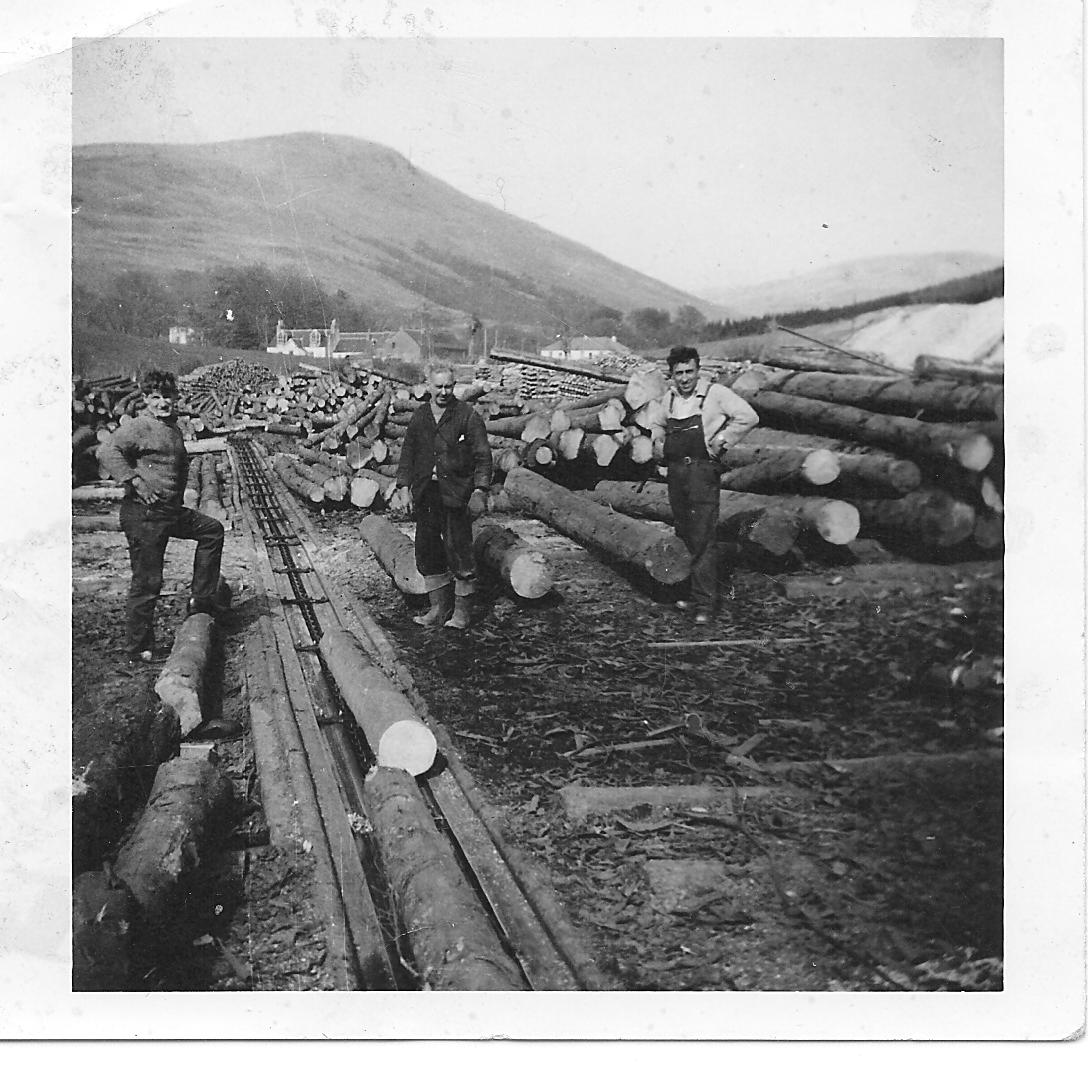Forestry and Sawmill – SDLHS