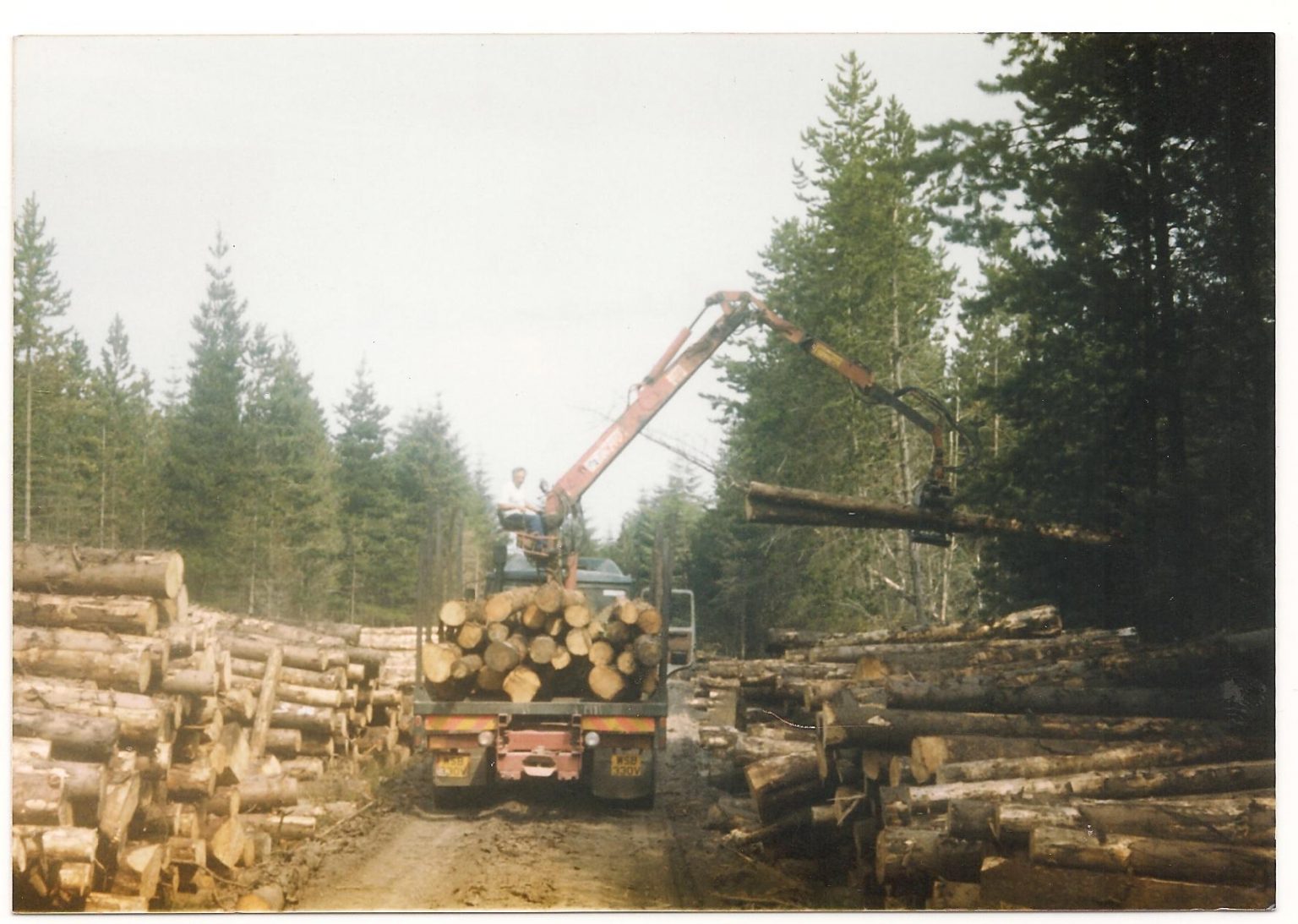Forestry and Sawmill – SDLHS